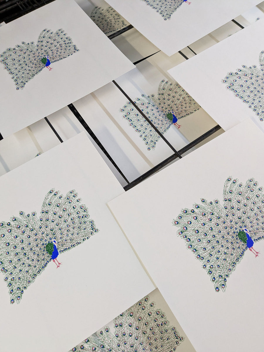 Peacock – Liz Whiteman Smith Screen Prints